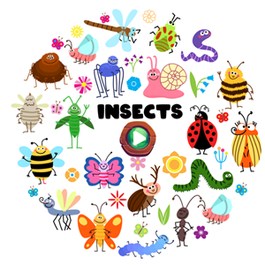 🕹️ Play Funny Insects Game: Free Online Moving Hidden Object Search ...